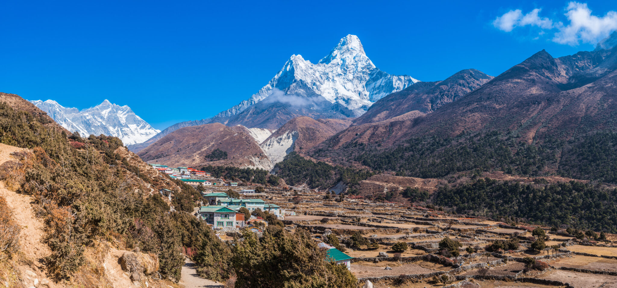 Sagarmatha Nationalpark - Green Tiger