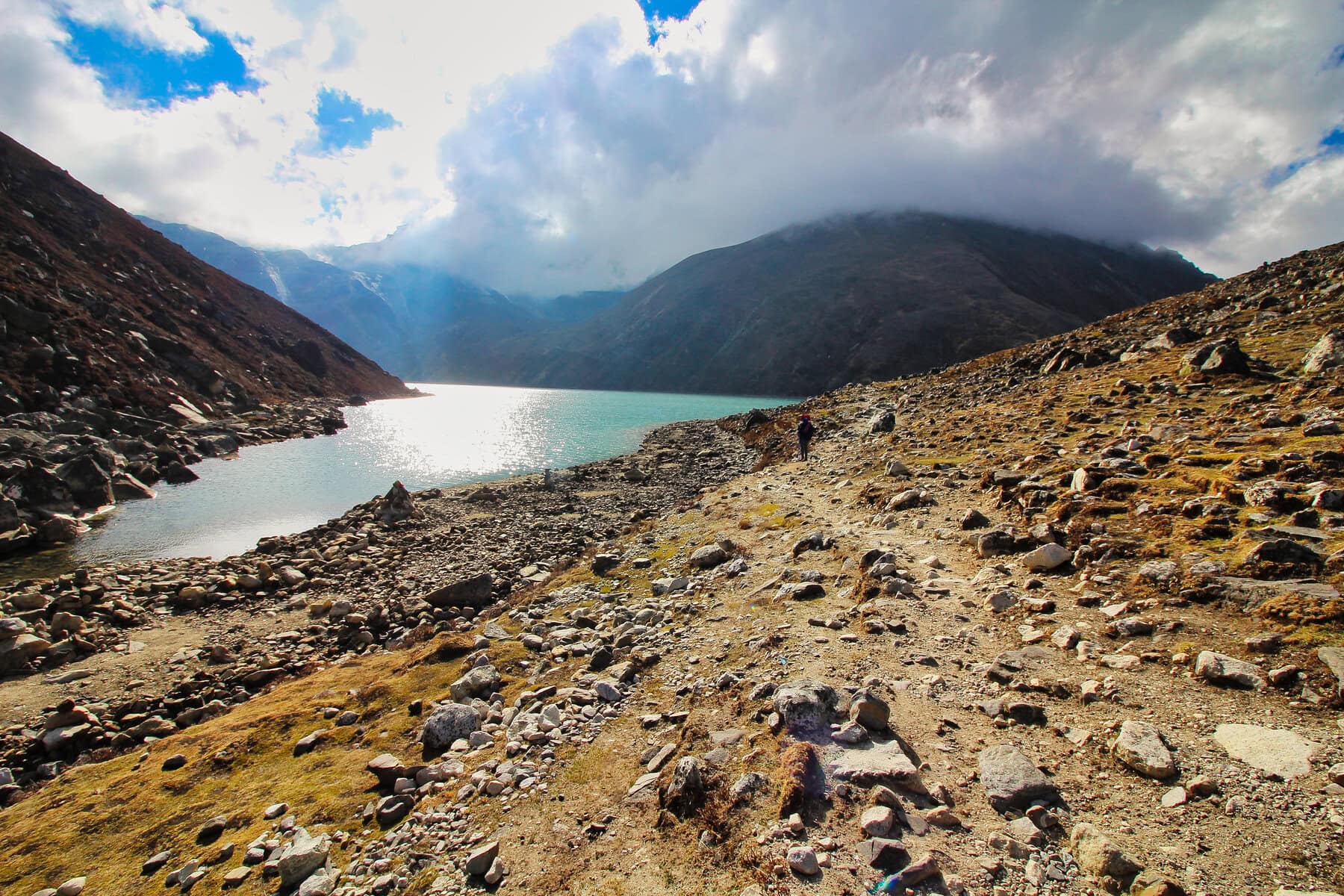 Sagarmatha Nationalpark - Green Tiger